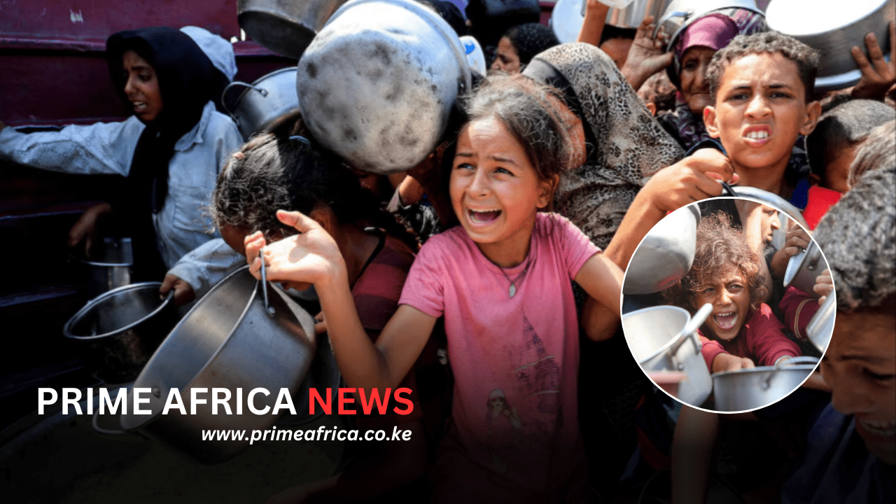 Gaza City Officially In Famine, With Hunger Spreading, Says Global ...